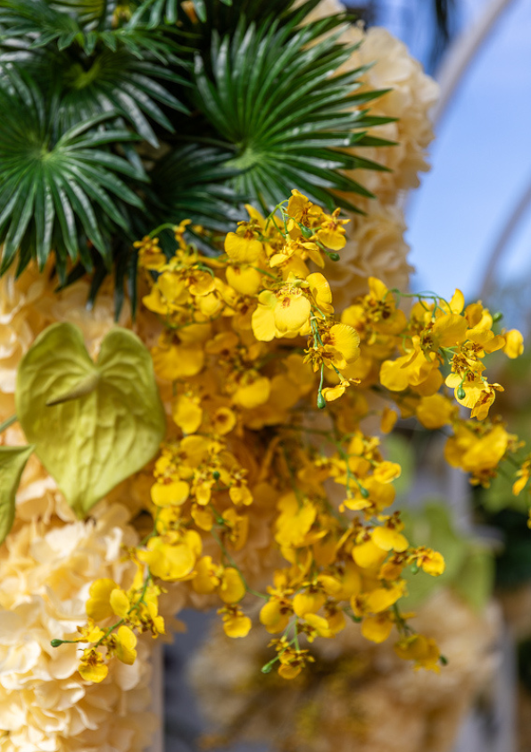 Upcoming Events & Specials at Saint Alice - Auckland